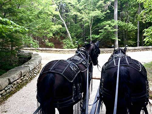 Acadia by Carriage: Horse-drawn carriage tours at Acadia National Park